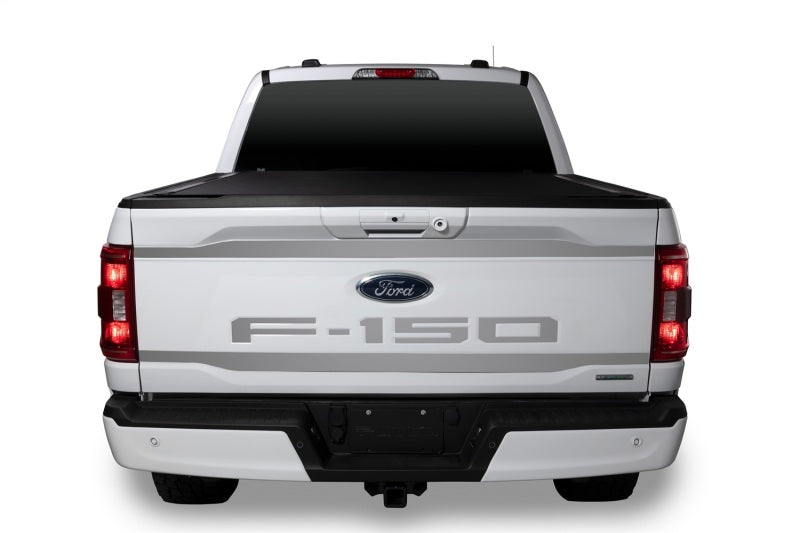 Putco 2021 Ford F-150 Ford Lettering (Cut Letters/Stainless Steel) Tai ...